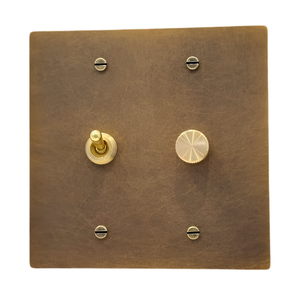 Brass Vintage Toggle Switch + Dimmer Switch (2-Gang) Aged Patina Brass ...